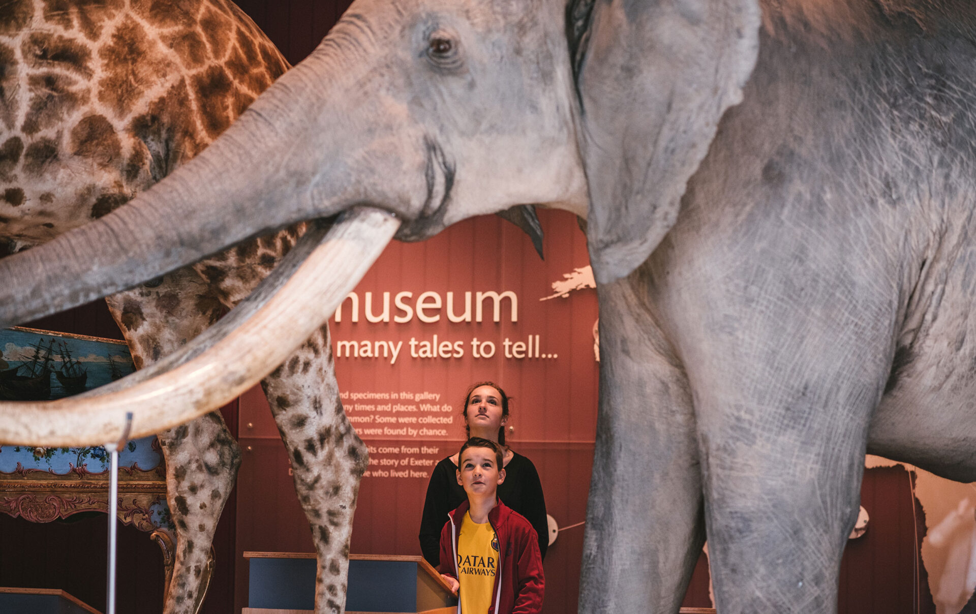 Devon's Top Attractions - Things To Do and Best Days Out In Devon - TLH ...